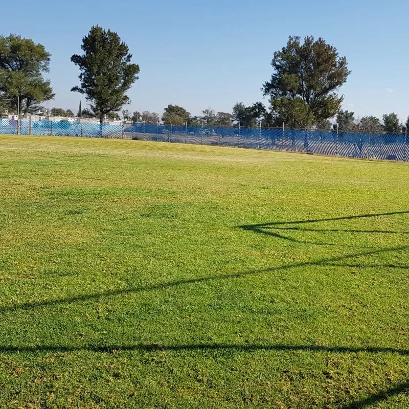 Colegio Privado Bilingгјe Y Catгіlico Cumbres Celaya рџ љ